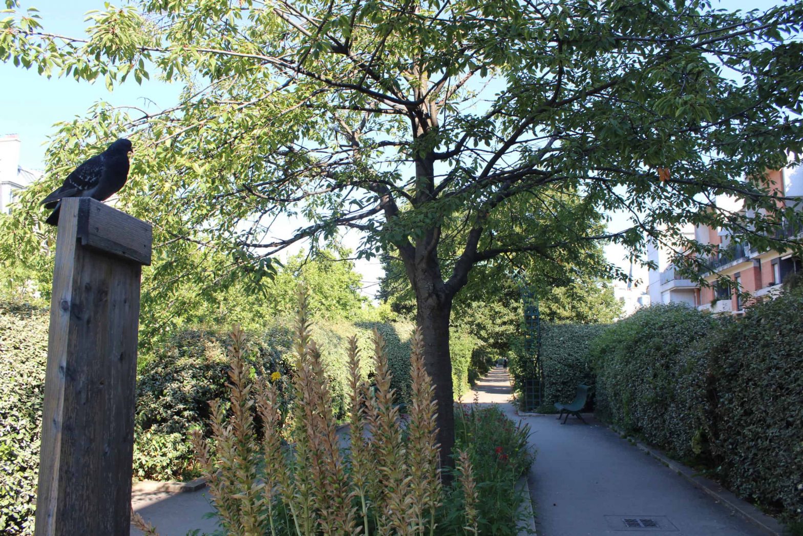 The Promenade Plantée is the Hidden Gem of the 12th - Story of a City